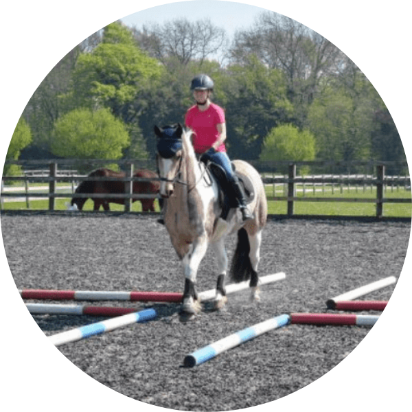 Trot-Poles | Pony Club Australia