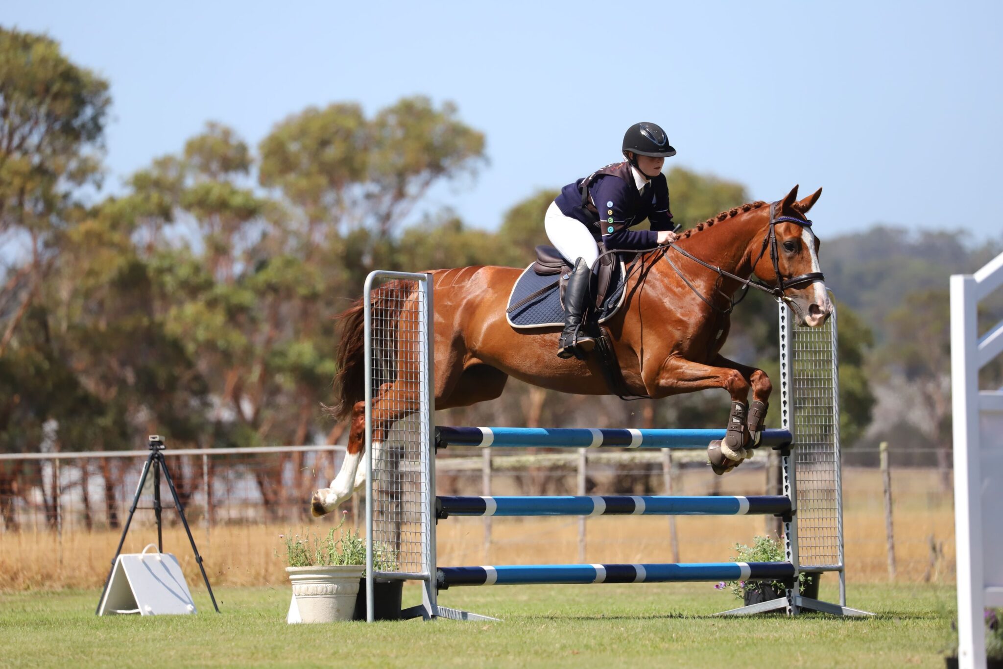 Lilly Mace_Winner Grade 1 | Pony Club Australia