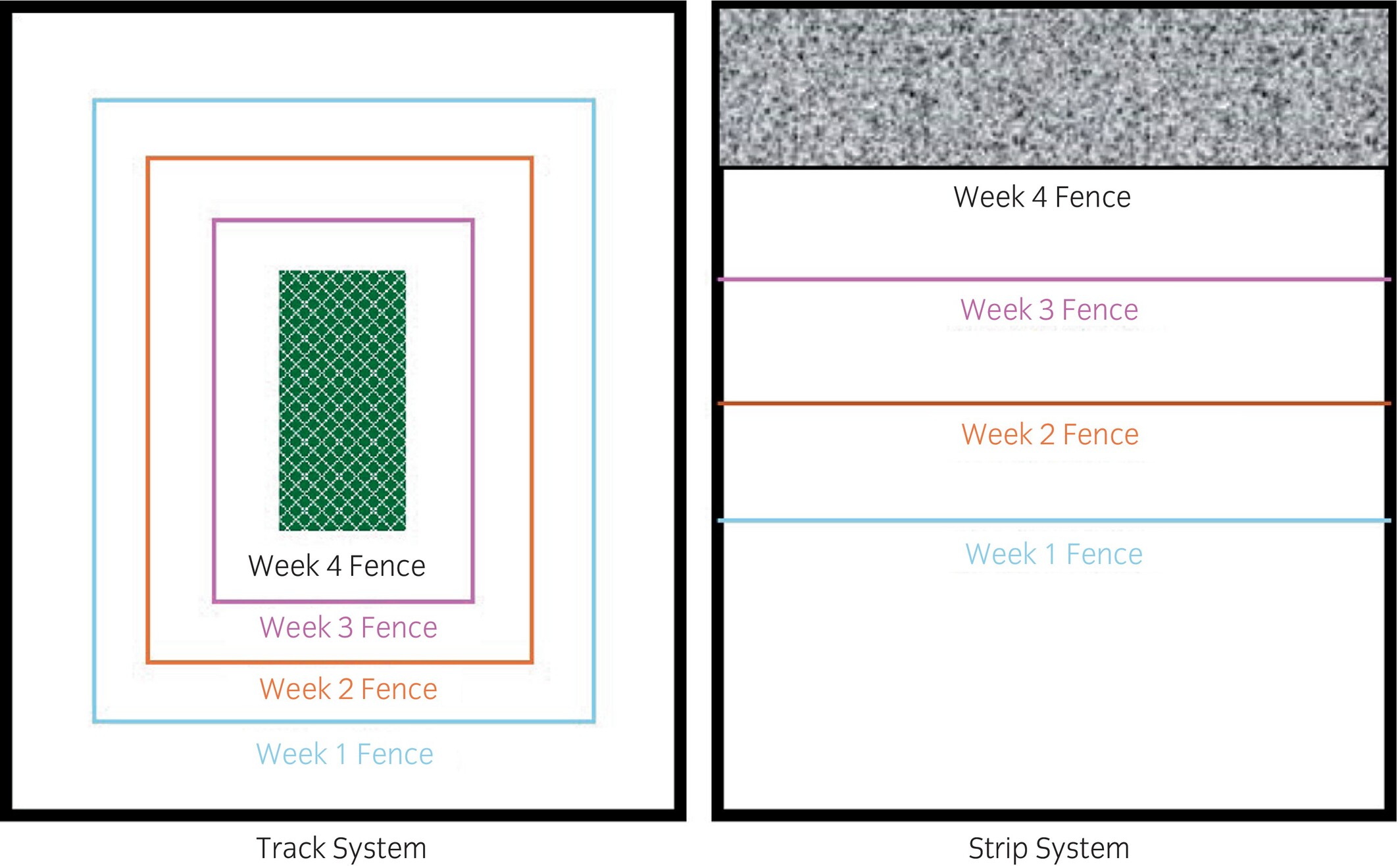 evj14411-fig-0001-m | Pony Club Australia