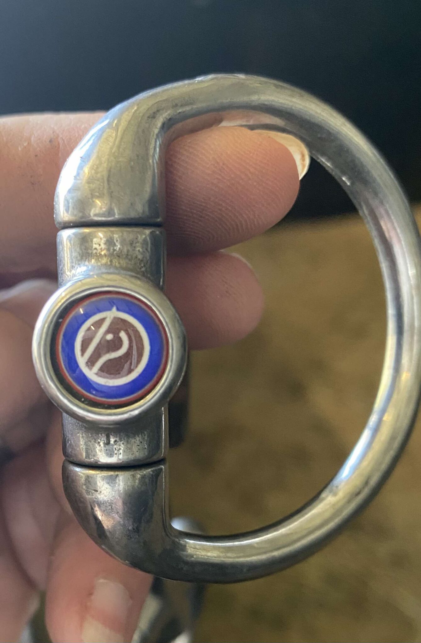 250416 Trust Logo | Pony Club Australia