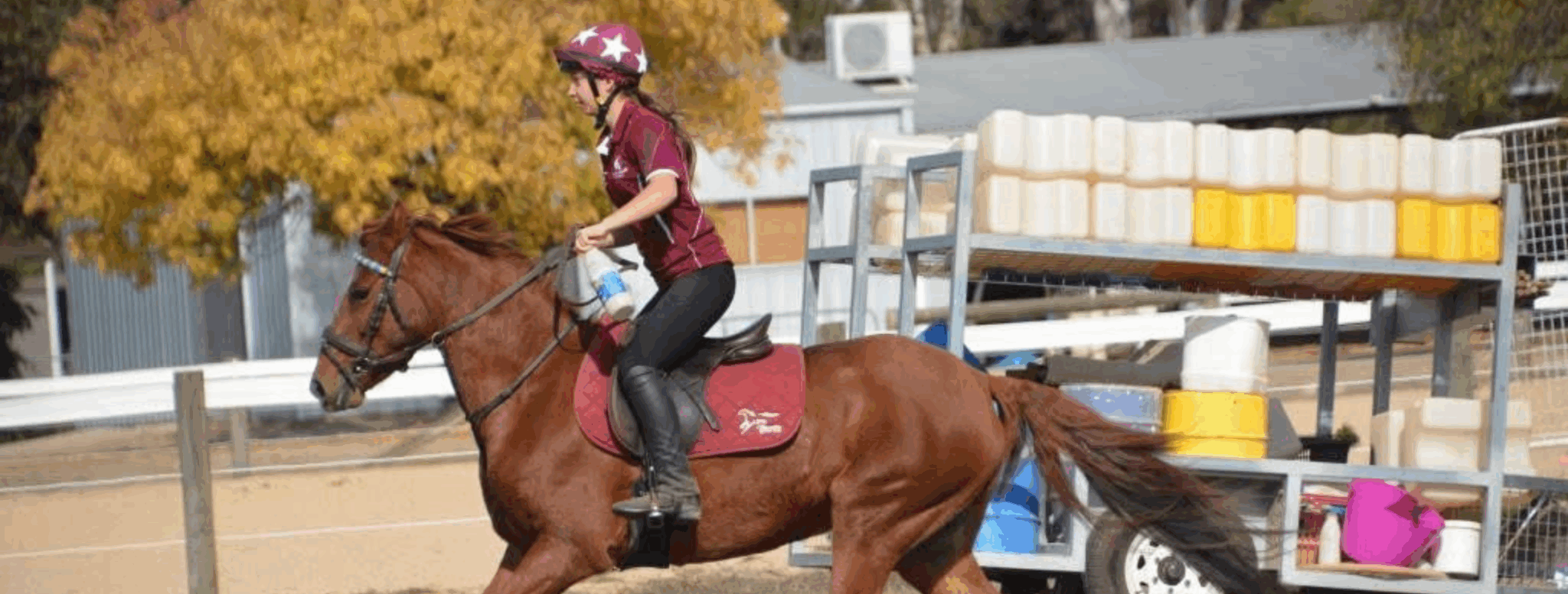 Find a Pony Club Near You | Pony Club Australia Search Directory