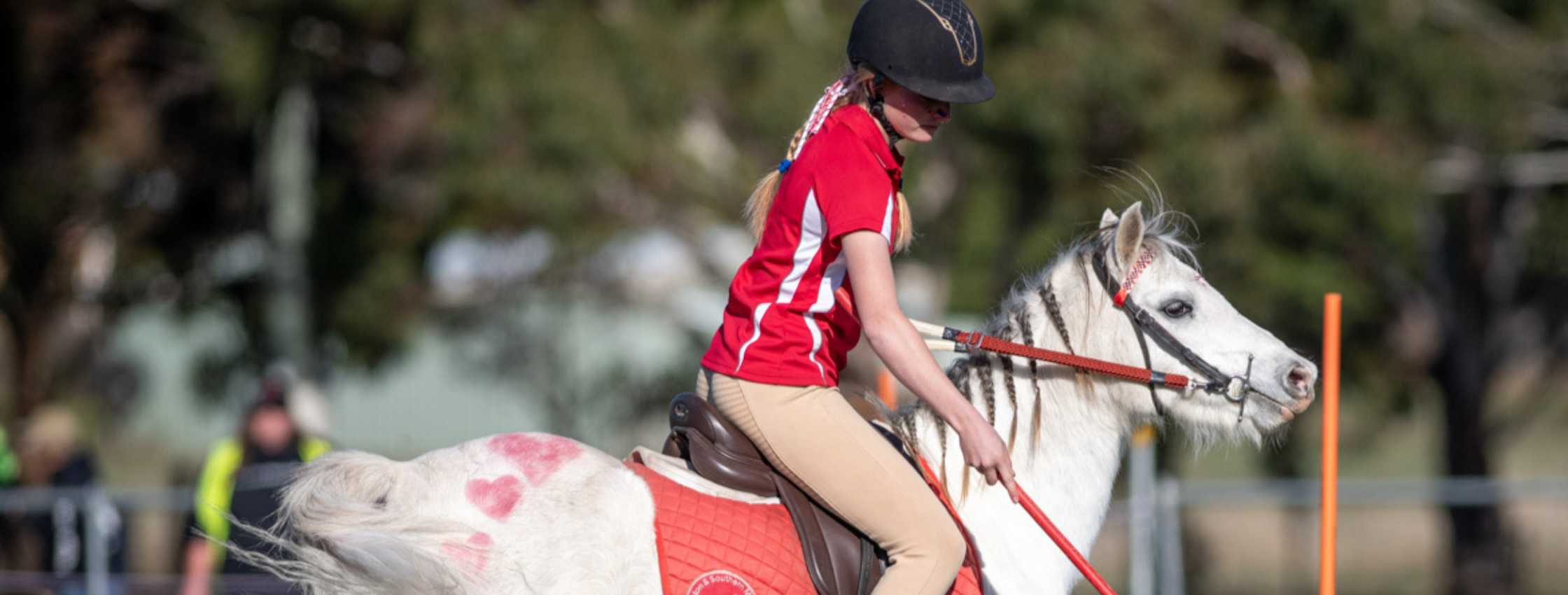 Meet the Finalists: Annie Wilson | National Pony Racing Series