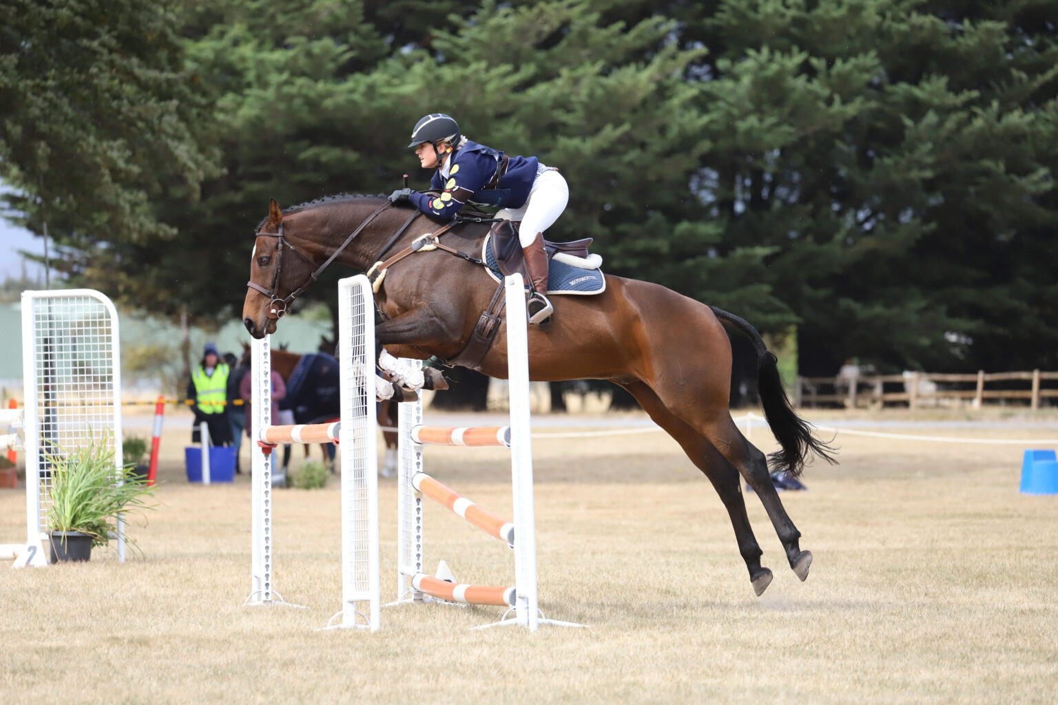 Resource Hub | Rules, Policies & Key Pony Club Documents