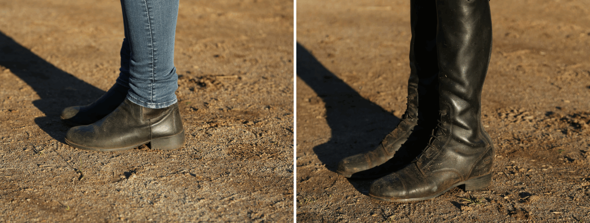 Latest News & Updates | Stay Informed with Pony Club Australia